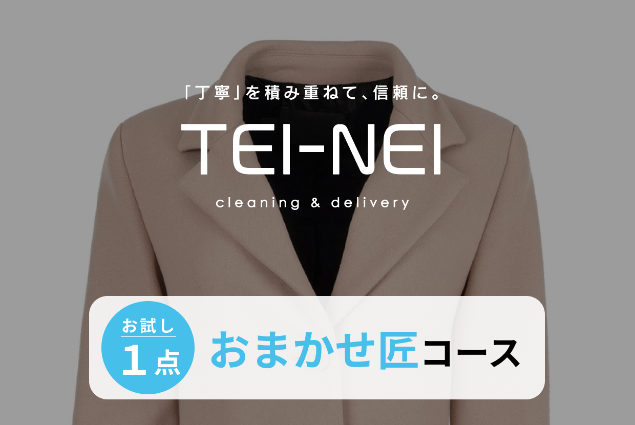 お試しおまかせ匠コース1点 – TEI-NEI